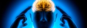 🧠 Boot Sequence Archive - Music and Media